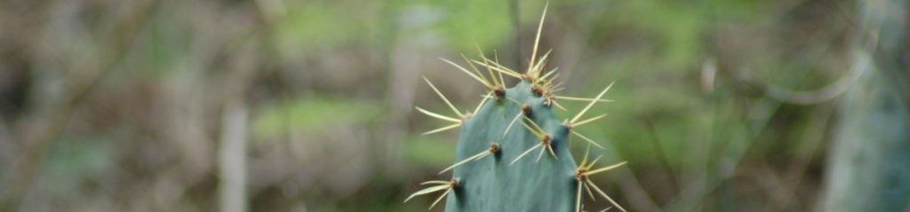 Sunrise Police sergeant who grabbed officer by throat retires; records ...